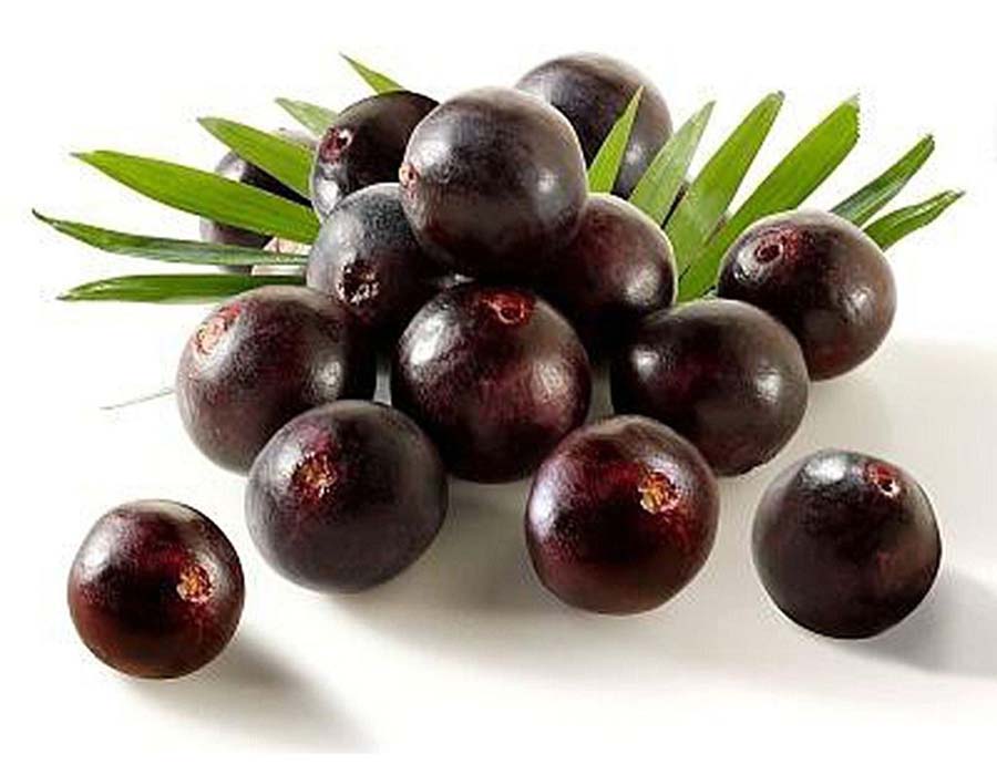 Acaí, nueva joya natural para la salud - El Men