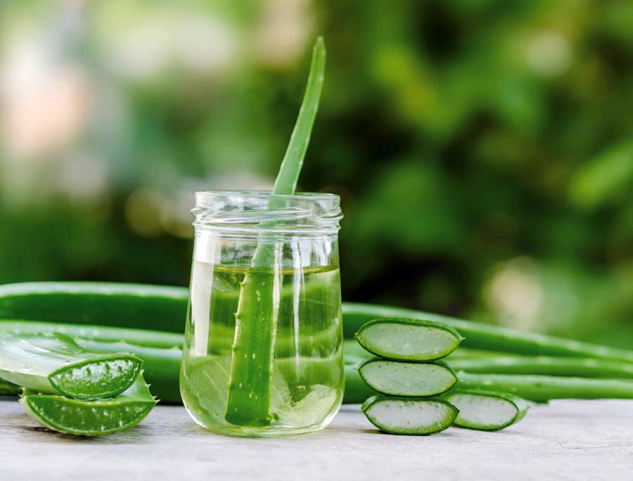 Cómo curarse con sábila - El Men