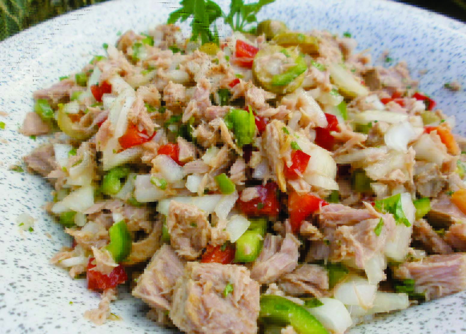 SALPICÓN DE ATÚN - El Men