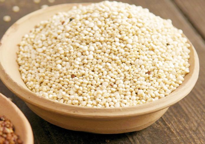 Quinua peruana ya puede ingresar a China - El Men