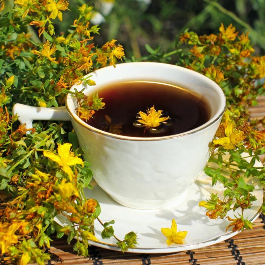 Infusiones naturales para aliviar el estrés y la ansiedad - El Men