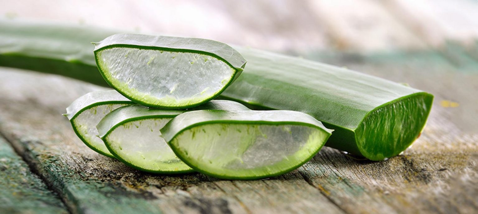 Cataplasmas, sanación externa con gran poder de alivio - El Men