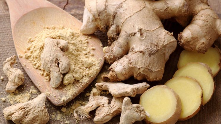 Raíces de kion y cúrcuma para aliviar diversos males - El Men